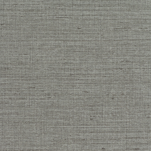 Cambric Birch | Invinci Wallcovering | Versa Designed Surfaces